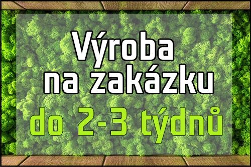 Jaké známe druhy mechu? - Mechoviště.cz